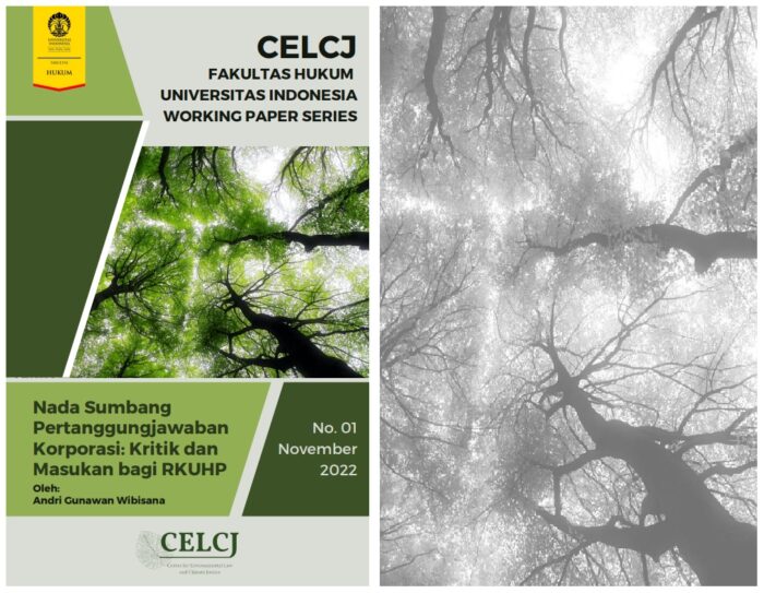 Working Paper Series - CELCJ